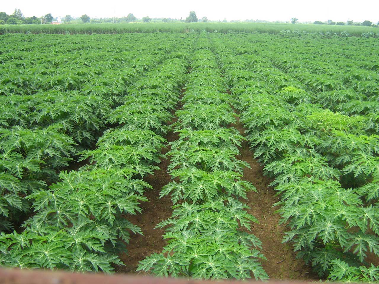 Home Page - SkipperMetzer