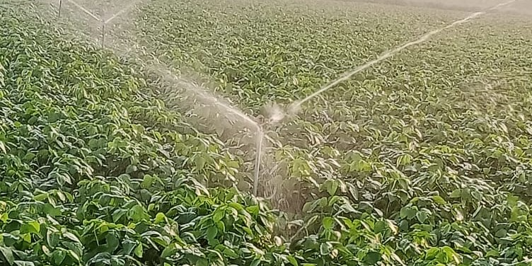 Products - SkipperMetzer