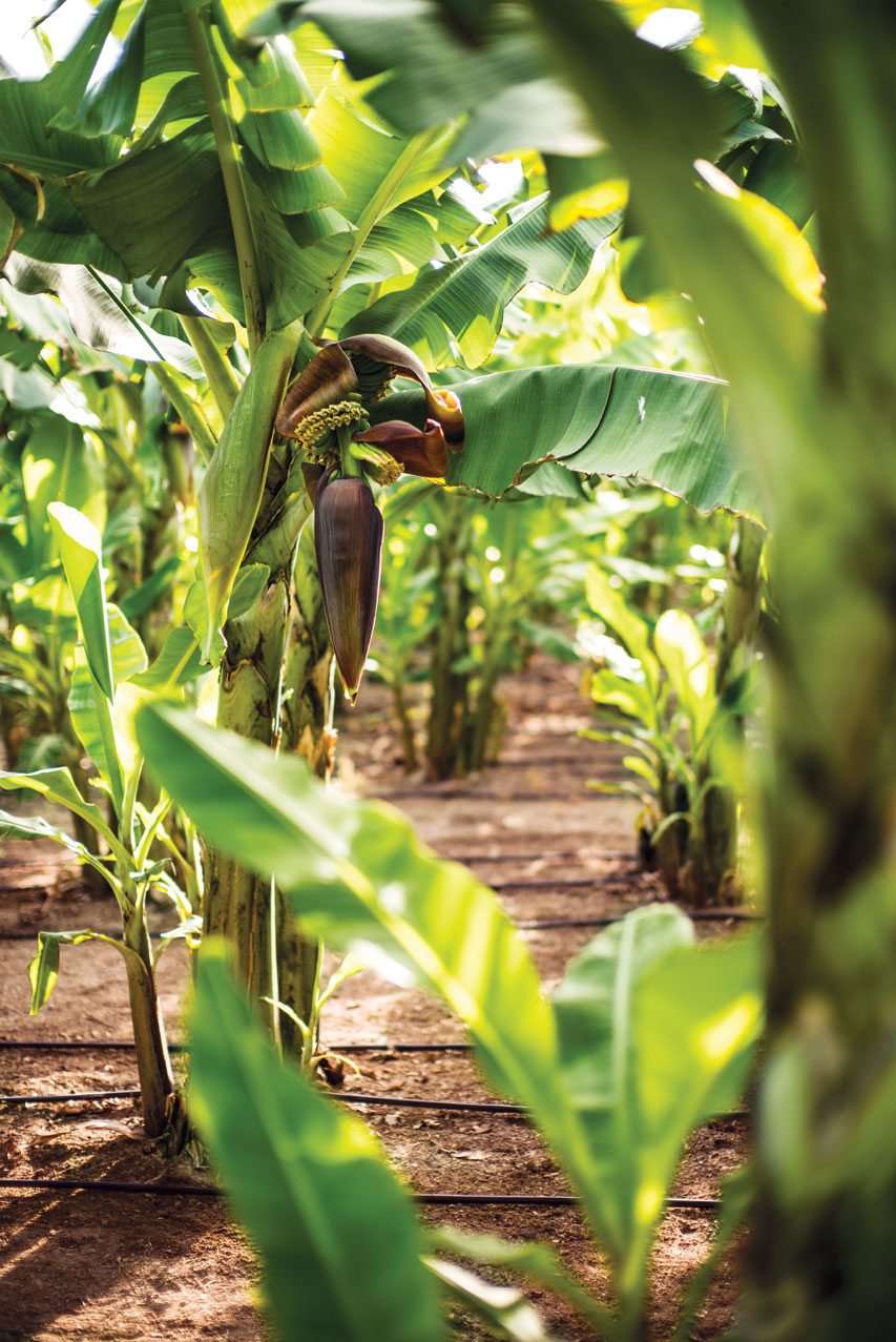 Home Page - SkipperMetzer